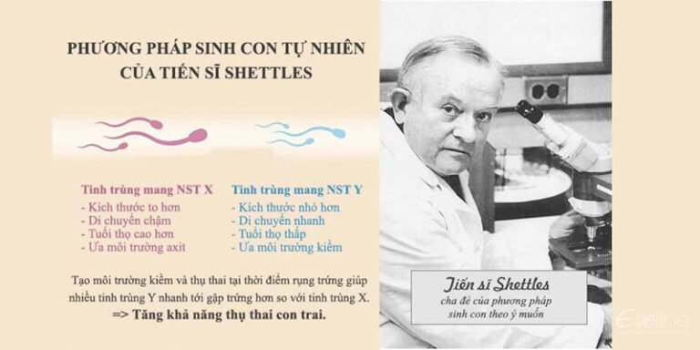 Phương Pháp Shettles: 5 Bí Quyết Sinh Con Theo Ý Muốn Hiệu Quả
